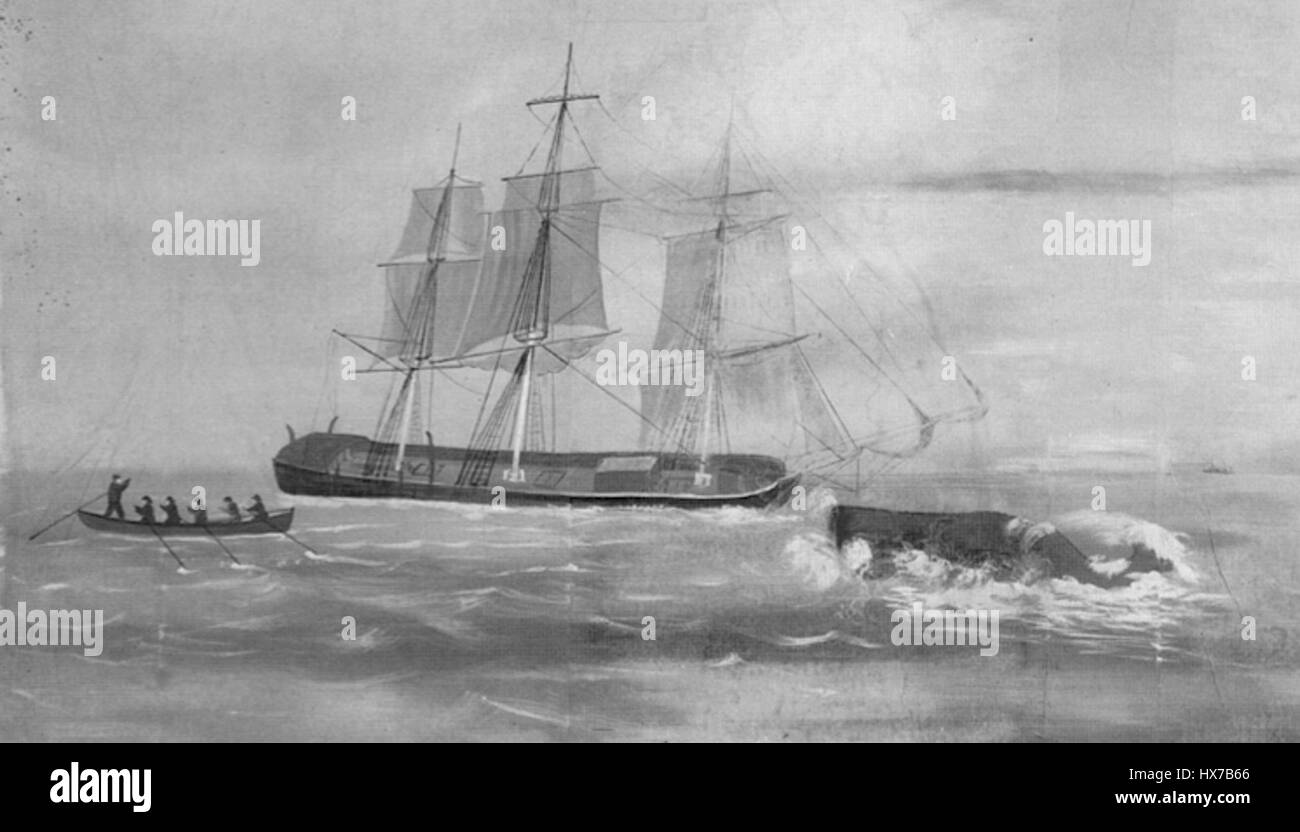Whaling industry museum Black and White Stock Photos & Images - Alamy
