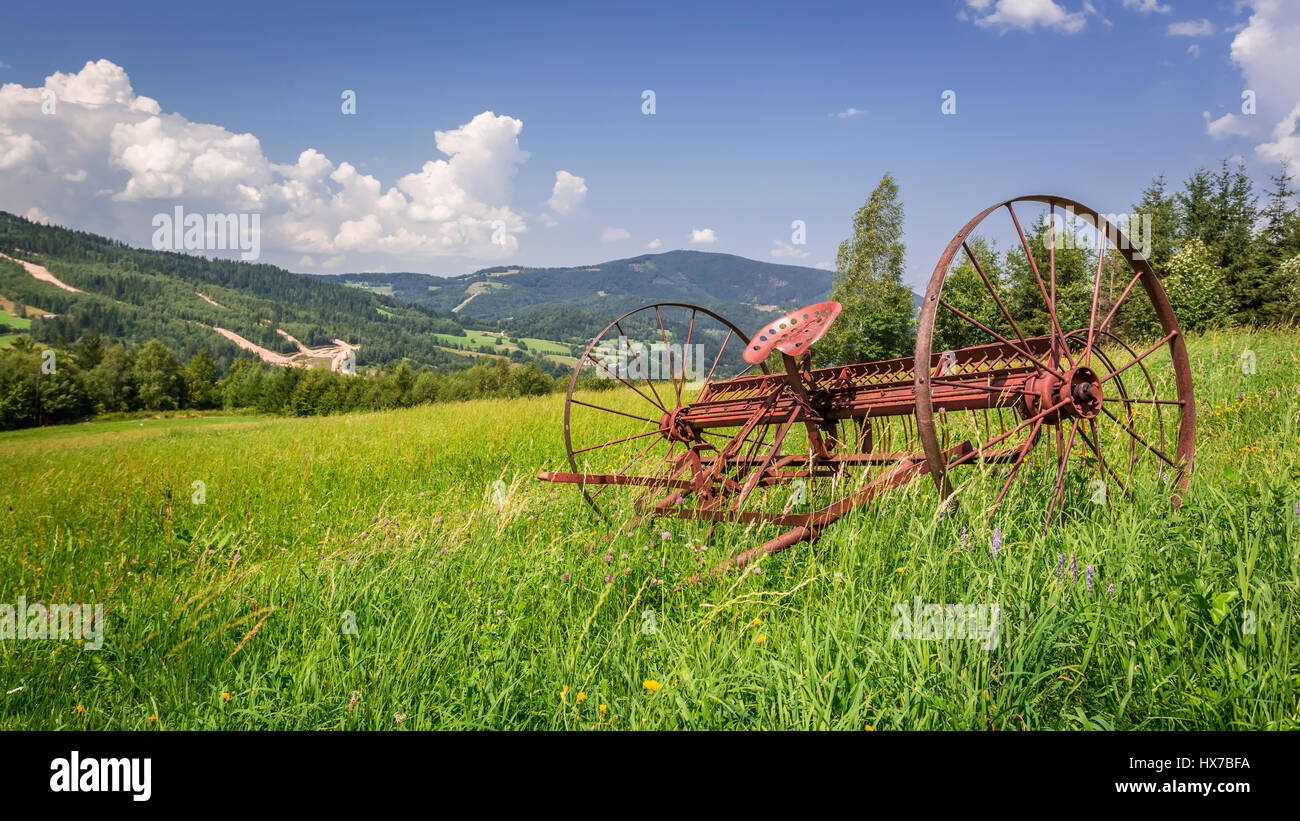 Red rake hi-res stock photography and images - Alamy