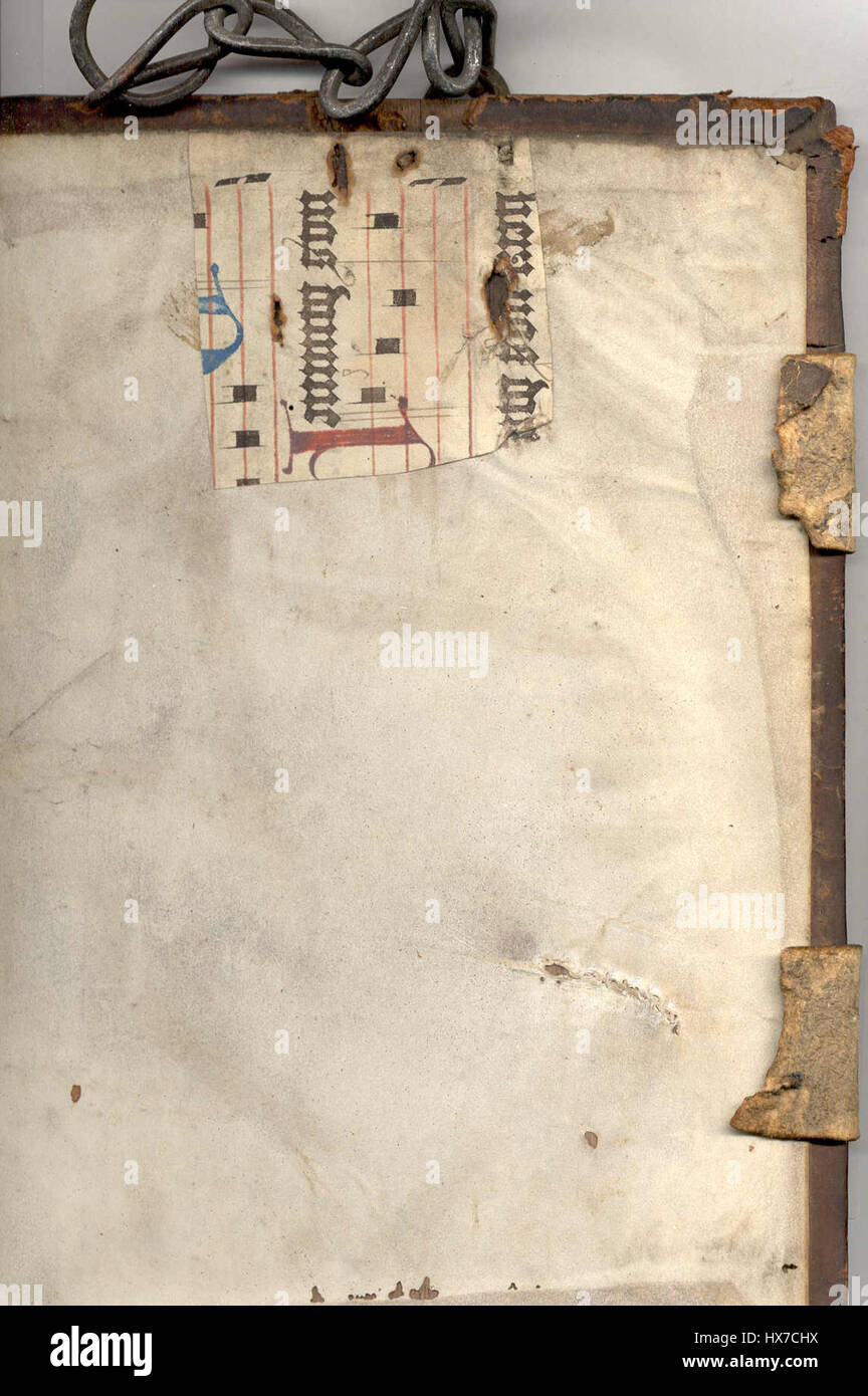 Medieval parchment animal skin hi-res stock photography and images - Alamy