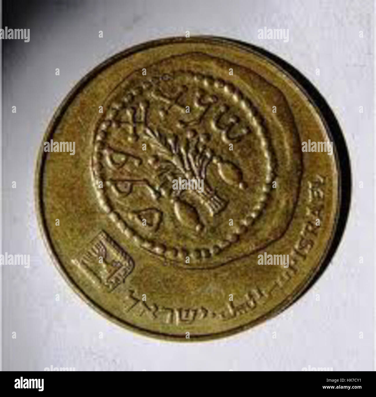 This image features a Lulav (palm branch) and Etrog (citron), symbols ...