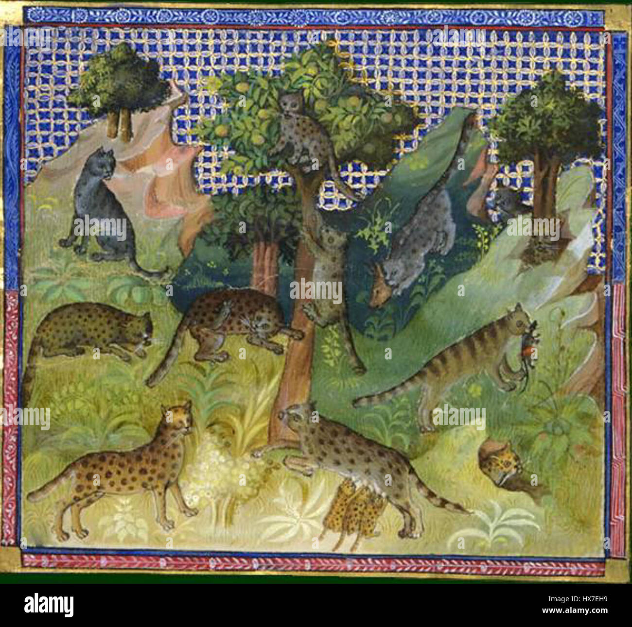 The 'Lynx' by Gaston Phoebus is a notable piece of medieval manuscript ...