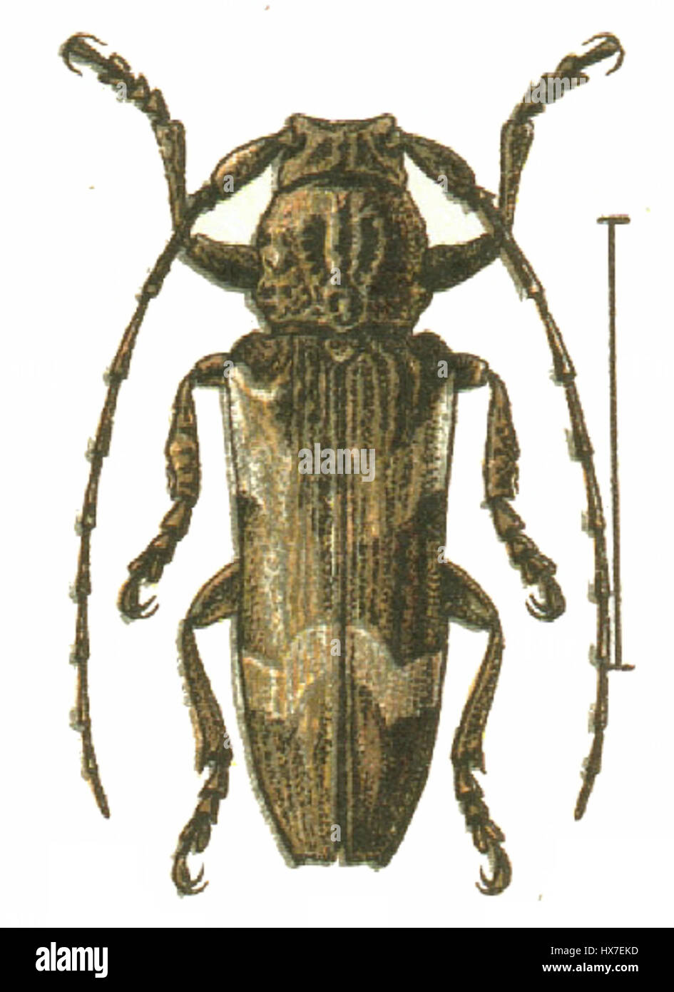 Other name Cut Out Stock Images & Pictures - Alamy