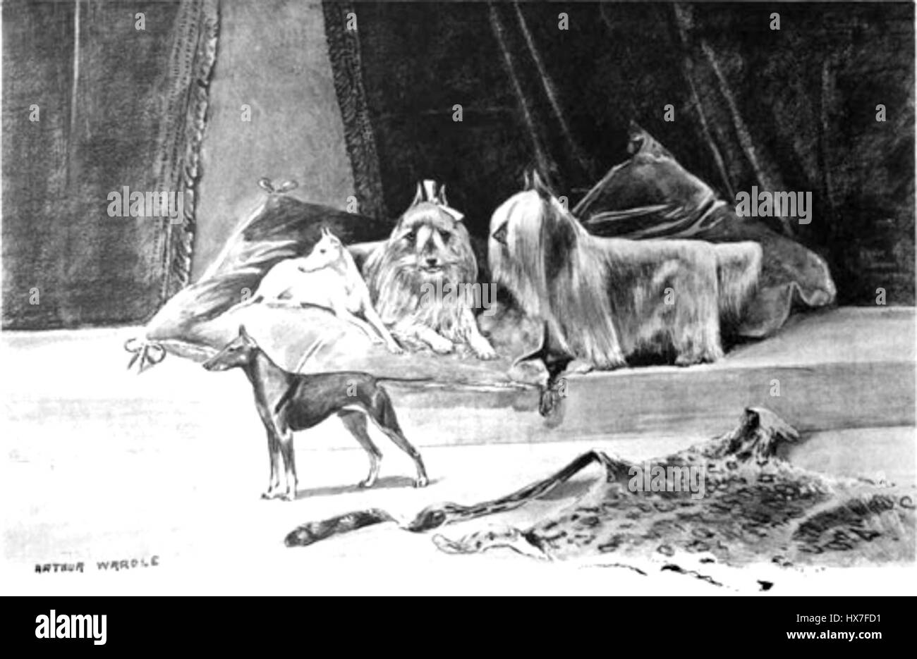 Paisley motifs Black and White Stock Photos & Images - Alamy