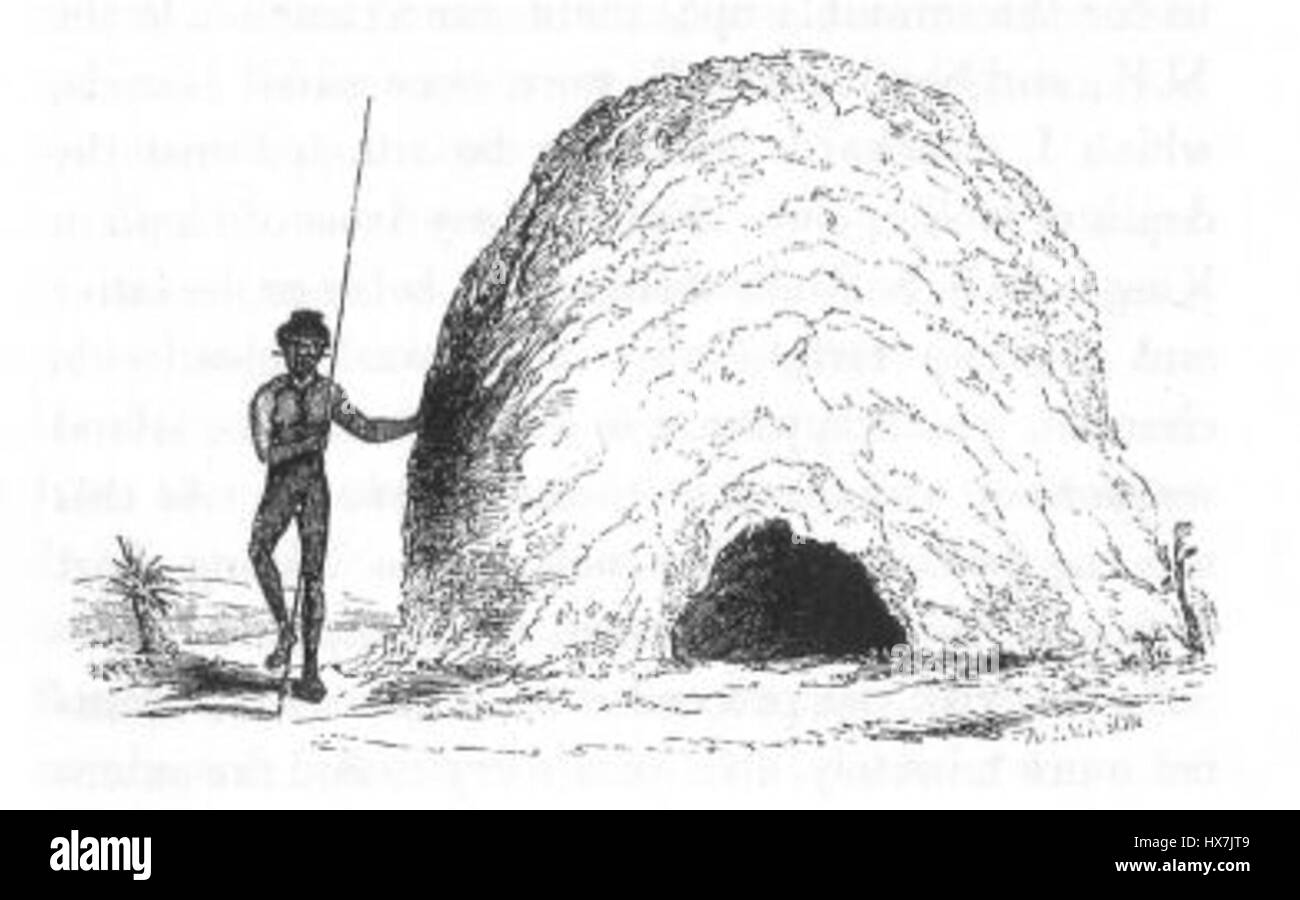 Aboriginal hut hi-res stock photography and images - Alamy