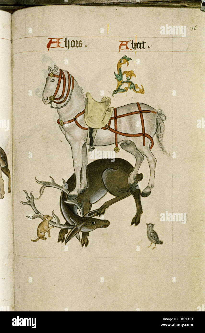 The Tudor pattern book, MS. Ashmole 1504, is an illustrated manuscript ...