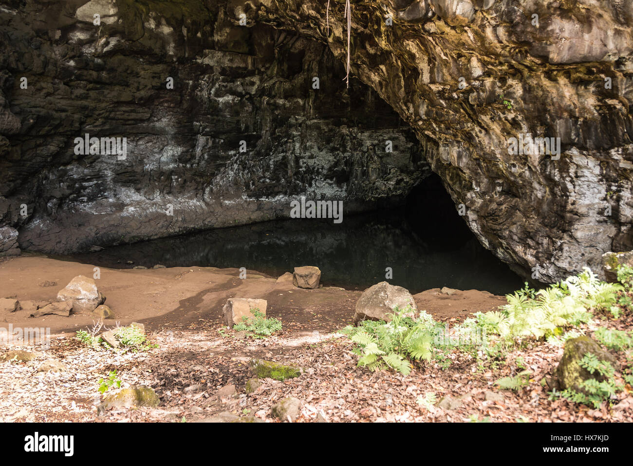 View of Waikanaloa Wet Cave in North Kauai, Hawaii Stock Photo - Alamy