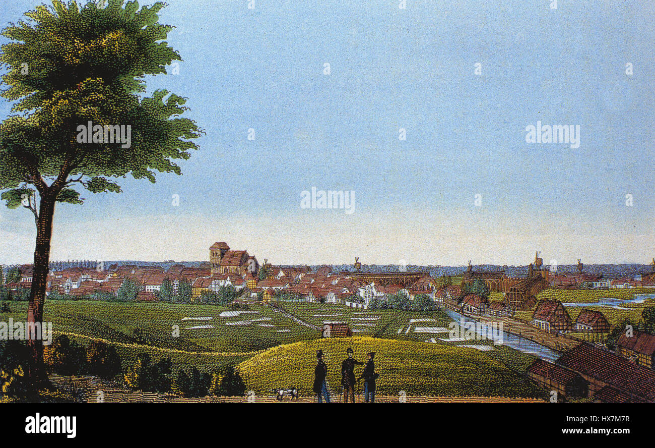 Suelze Lisch is an artist known for their contemporary and abstract ...