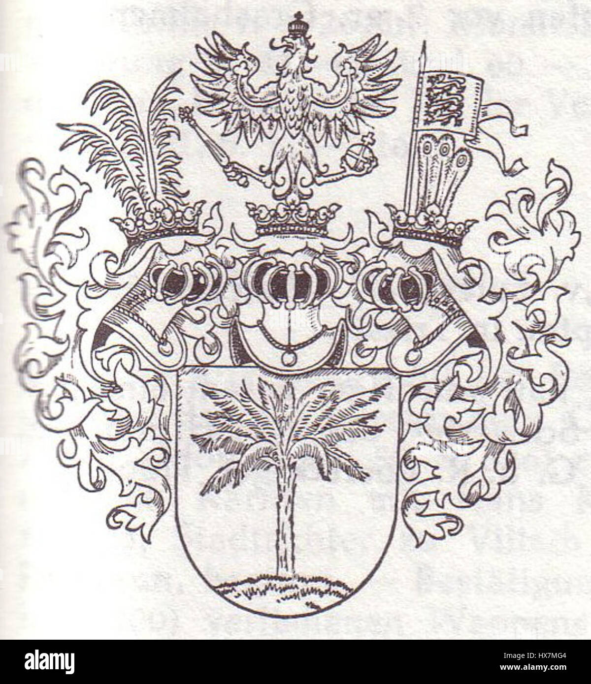 The coat of arms of the Grafen Keyserlingk, a noble family of German ...