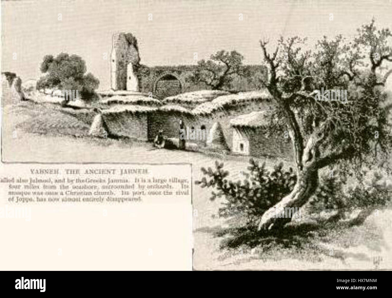 Yabneh, known as Jabneel in biblical references and Jamnia by the ...