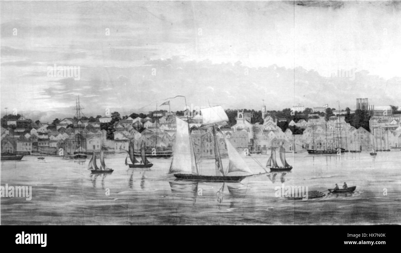 This 1848 whaling voyage depiction by Russell and Purrington showcases ...