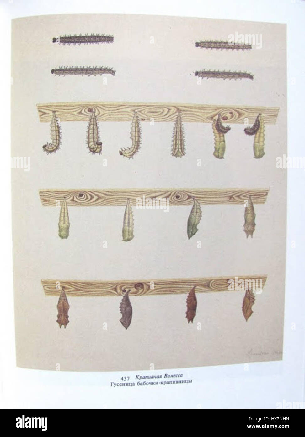 The provided text appears to contain non-English characters or possibly ...