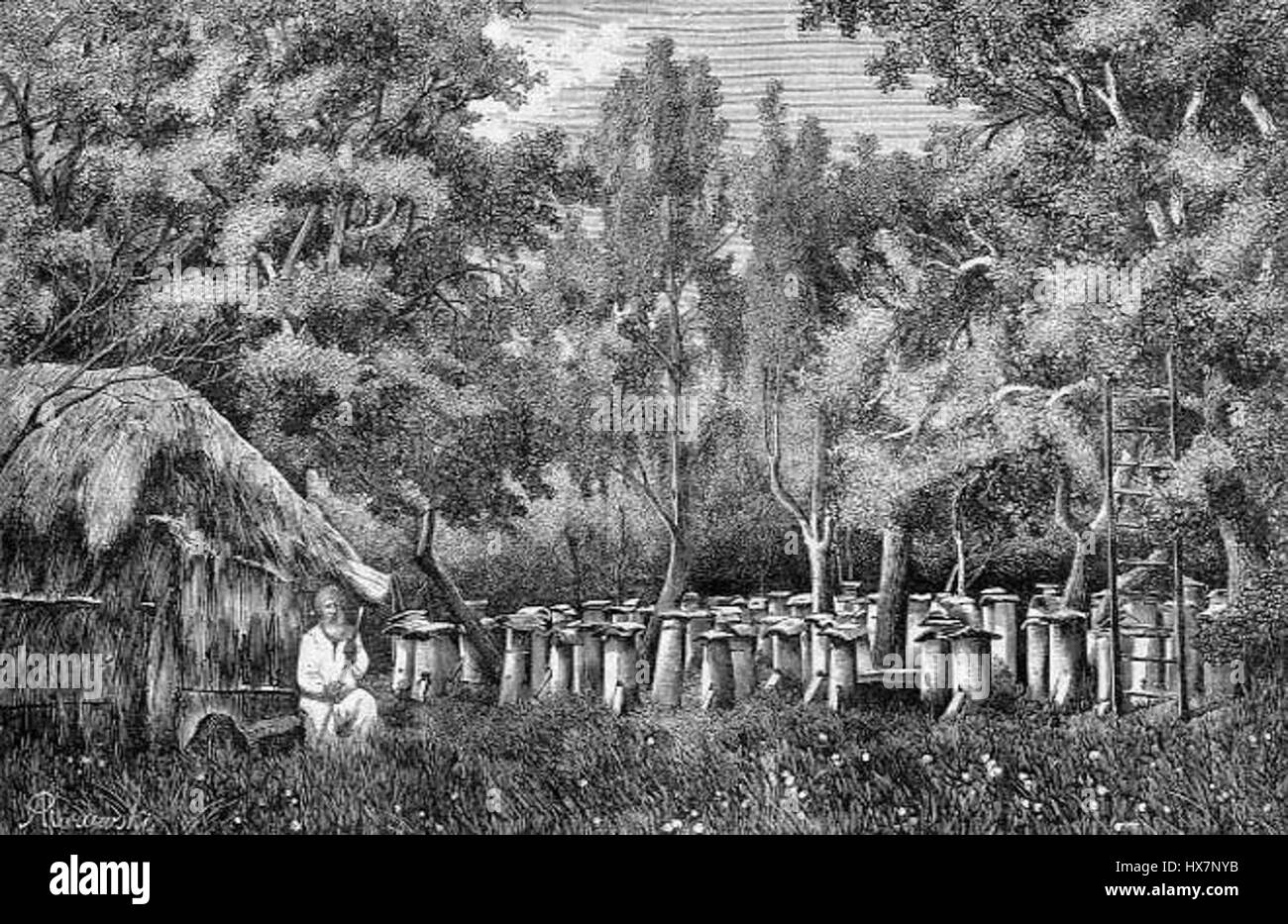 Dmitri Ivanovich Mendeleev was a Russian chemist, best known for ...