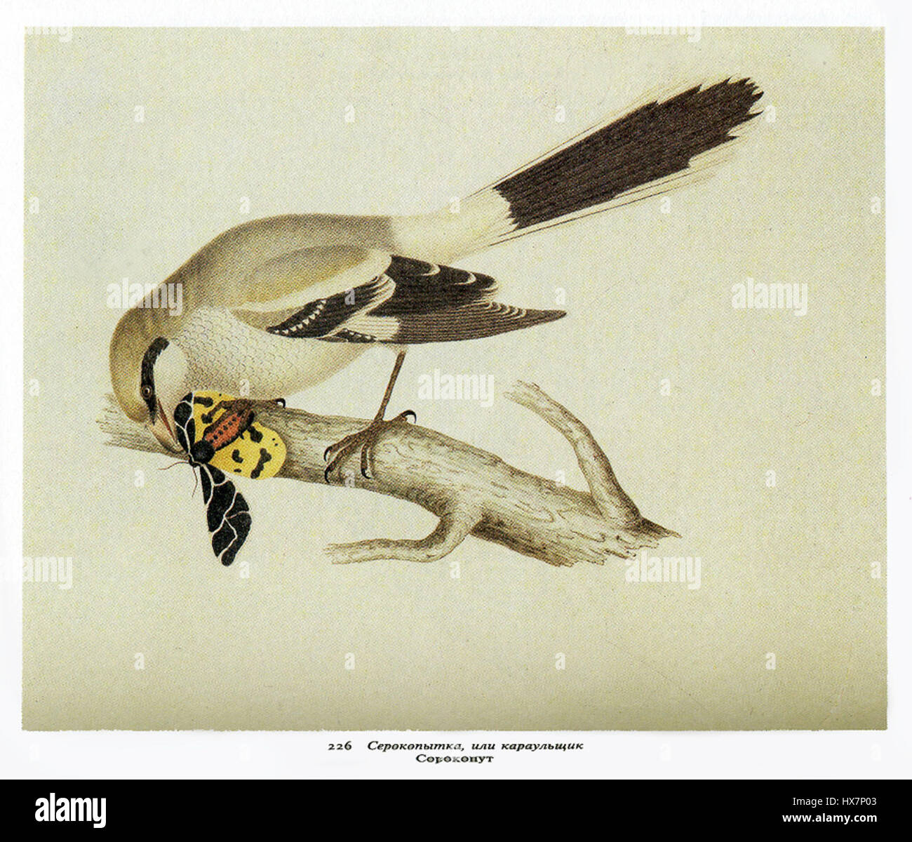 This title, in Russian, translates to 'Day of Strength and Victory' by ...