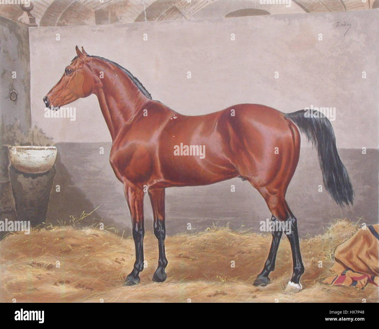 Melton at Stud was a renowned British Thoroughbred stallion, famous for ...