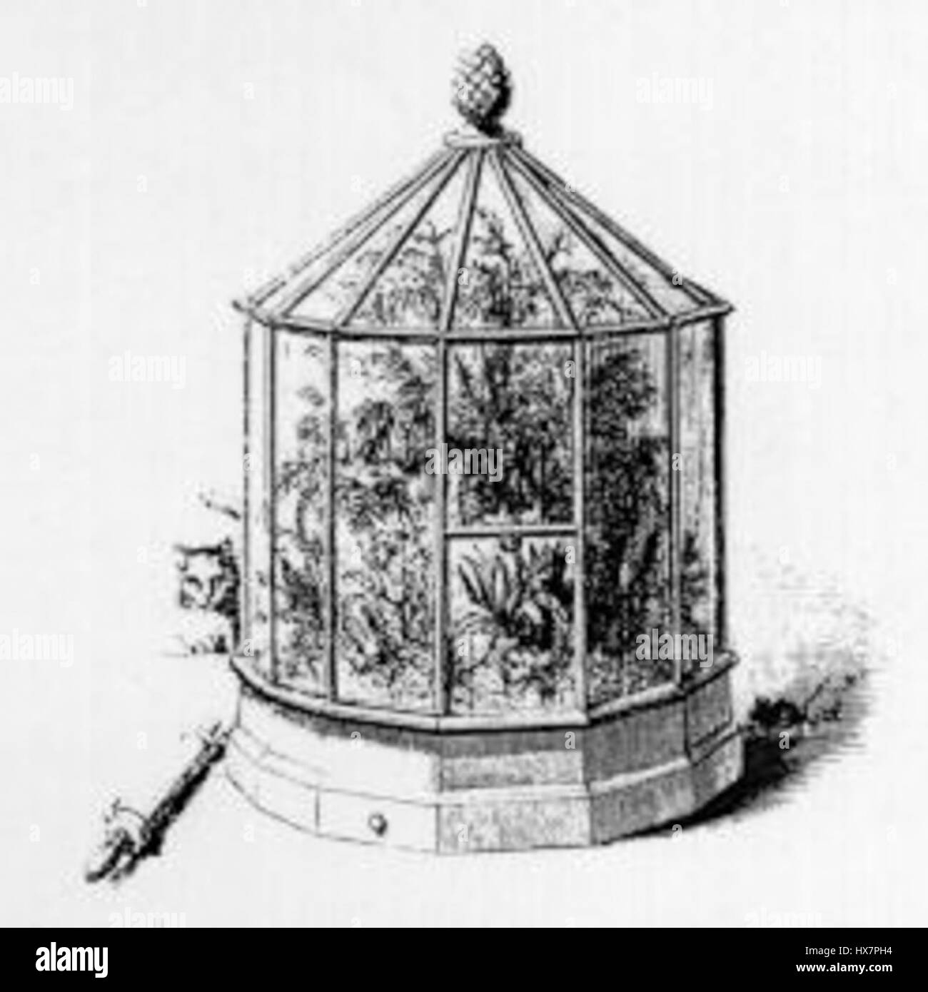 The wardian hi-res stock photography and images - Alamy