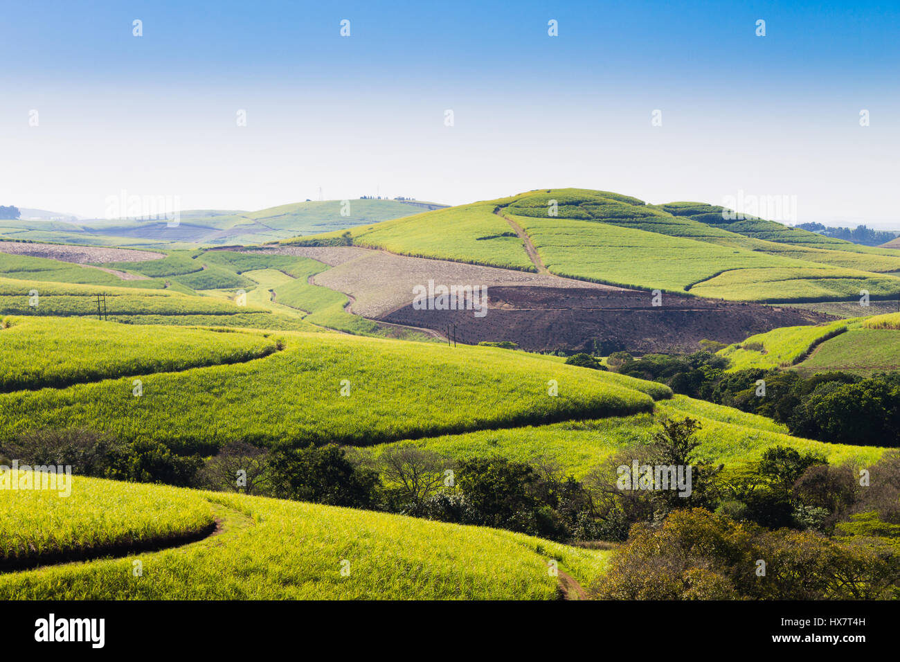 Valley of a Thousand hills landscape. Green hills panorama. South ...