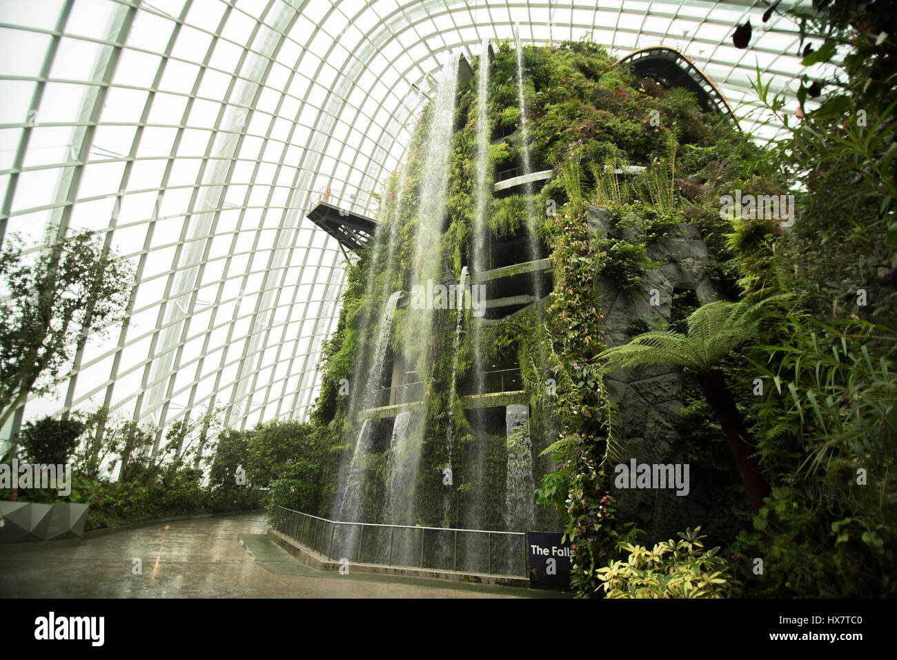 Singapore the flower dome hi-res stock photography and images - Alamy