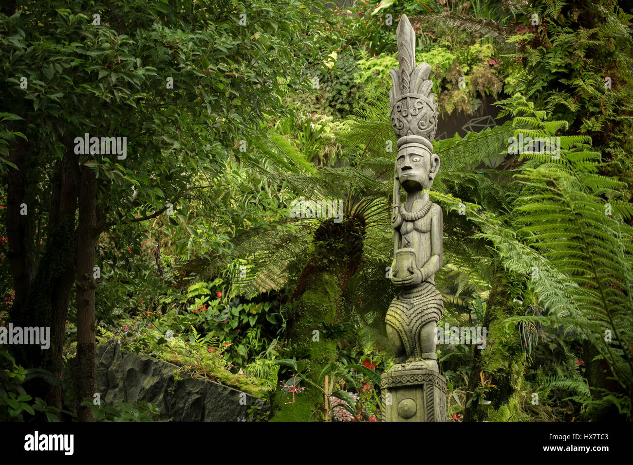 Lost cluster hi-res stock photography and images - Alamy