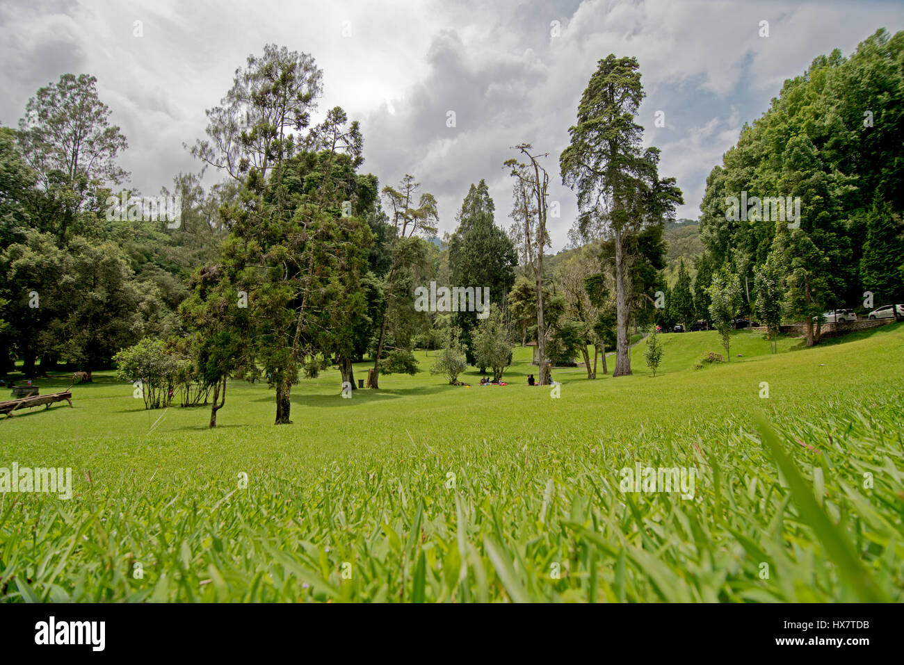 Kebun raya bali hi-res stock photography and images - Alamy