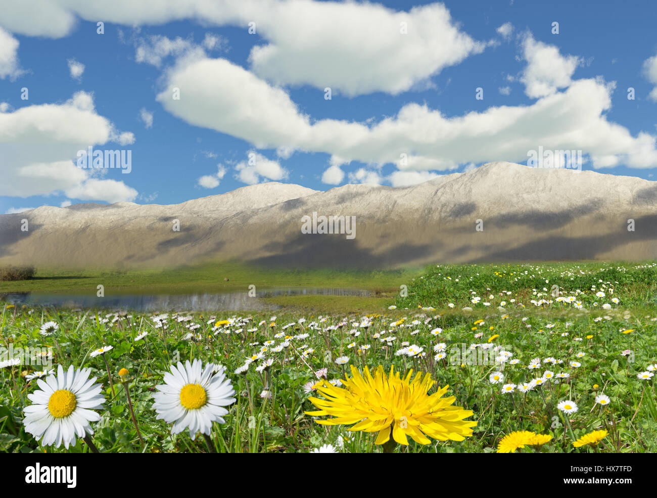 A wonderful spring day in an idyllic landscape with a flowery meadow ...