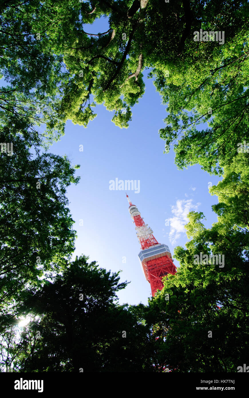 Tokyo Tower with ring of tree Stock Photo - Alamy