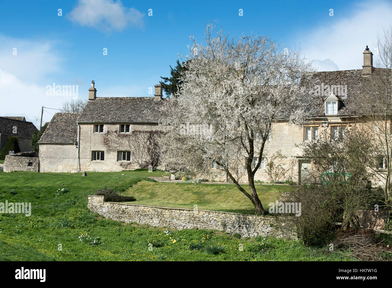 Early spring blossom in front cotswold cottages. Little Barrington ...