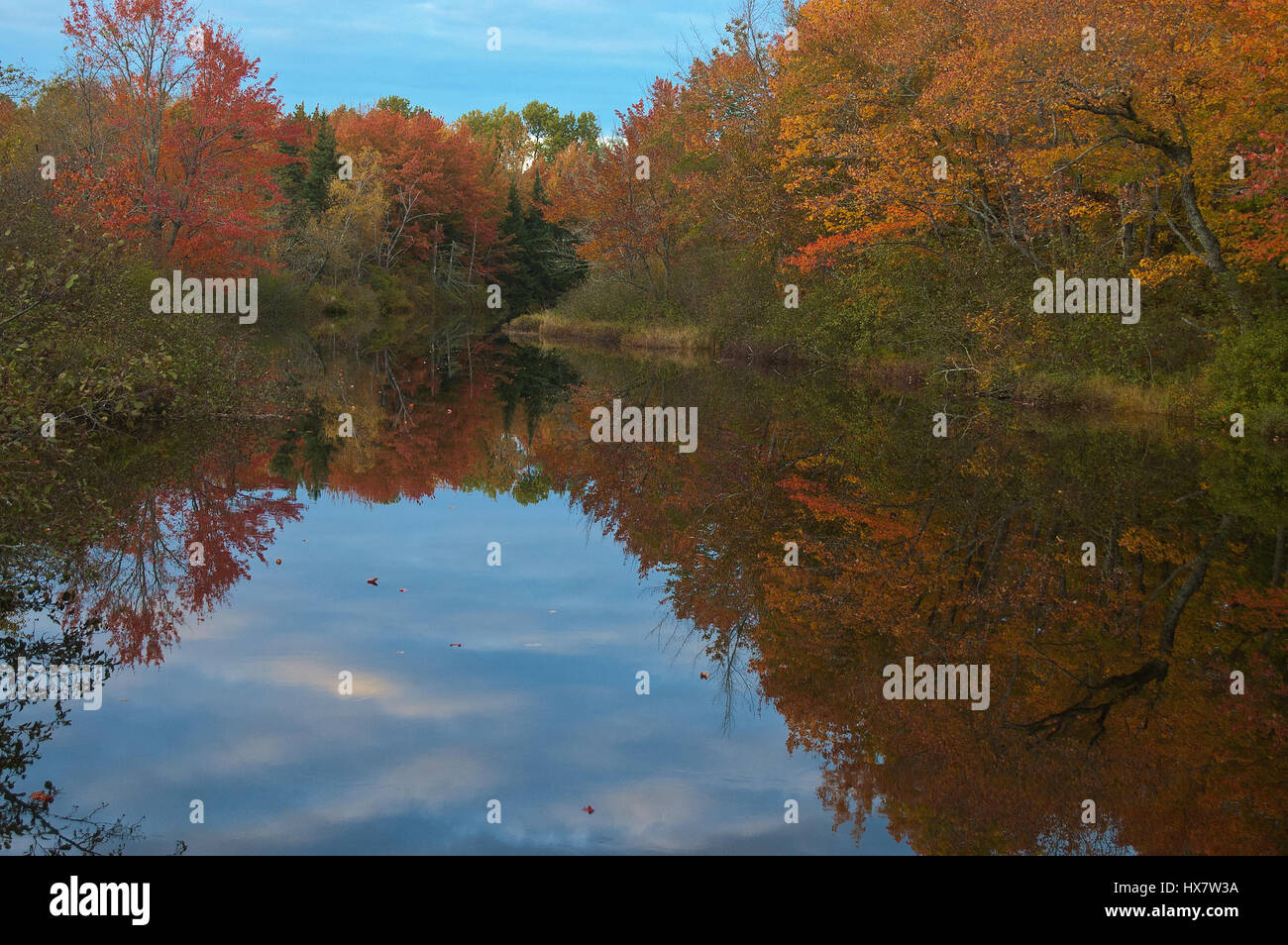 Colorful autumn trees reflected in a Maine stream Stock Photo - Alamy