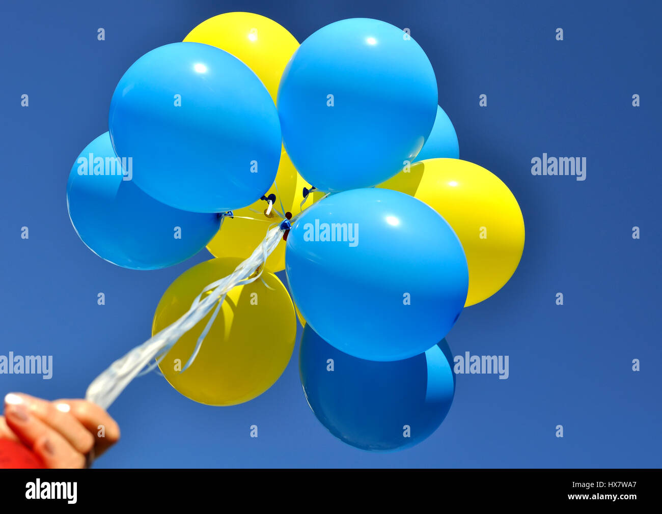 bunch of the yellow and blue balloons in the human hand on the blue sky ...