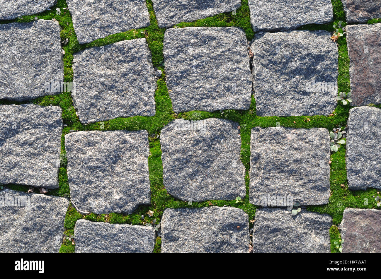 Cobbled road surface hi-res stock photography and images - Alamy