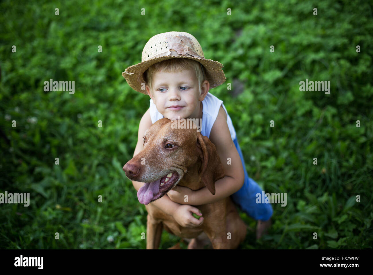 Friendship Between Human An Animal High Resolution Stock Photography ...