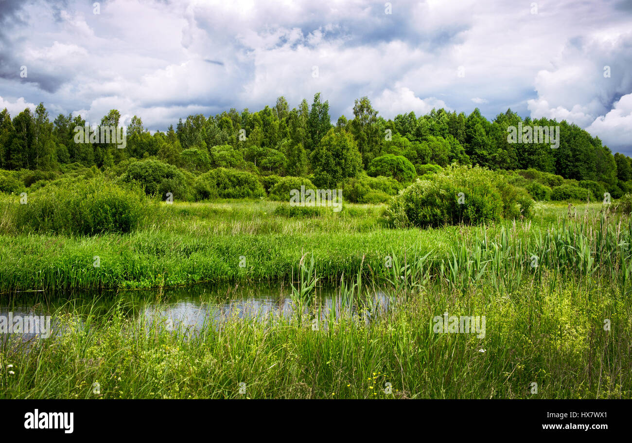 River flows through meadows hi-res stock photography and images - Alamy