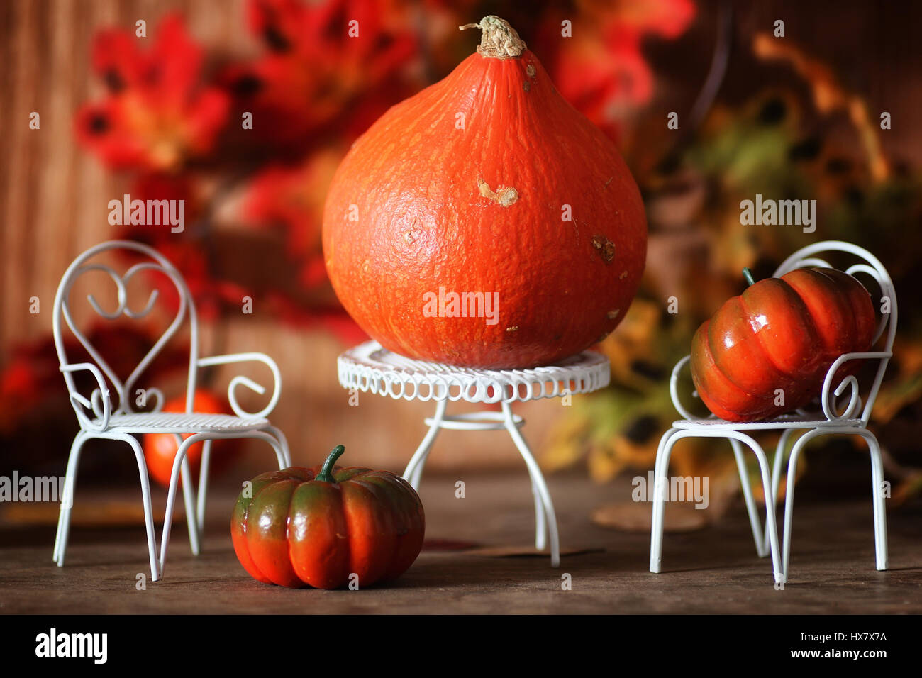 fresh pumpkin in interior wooden room on chair Stock Photo - Alamy