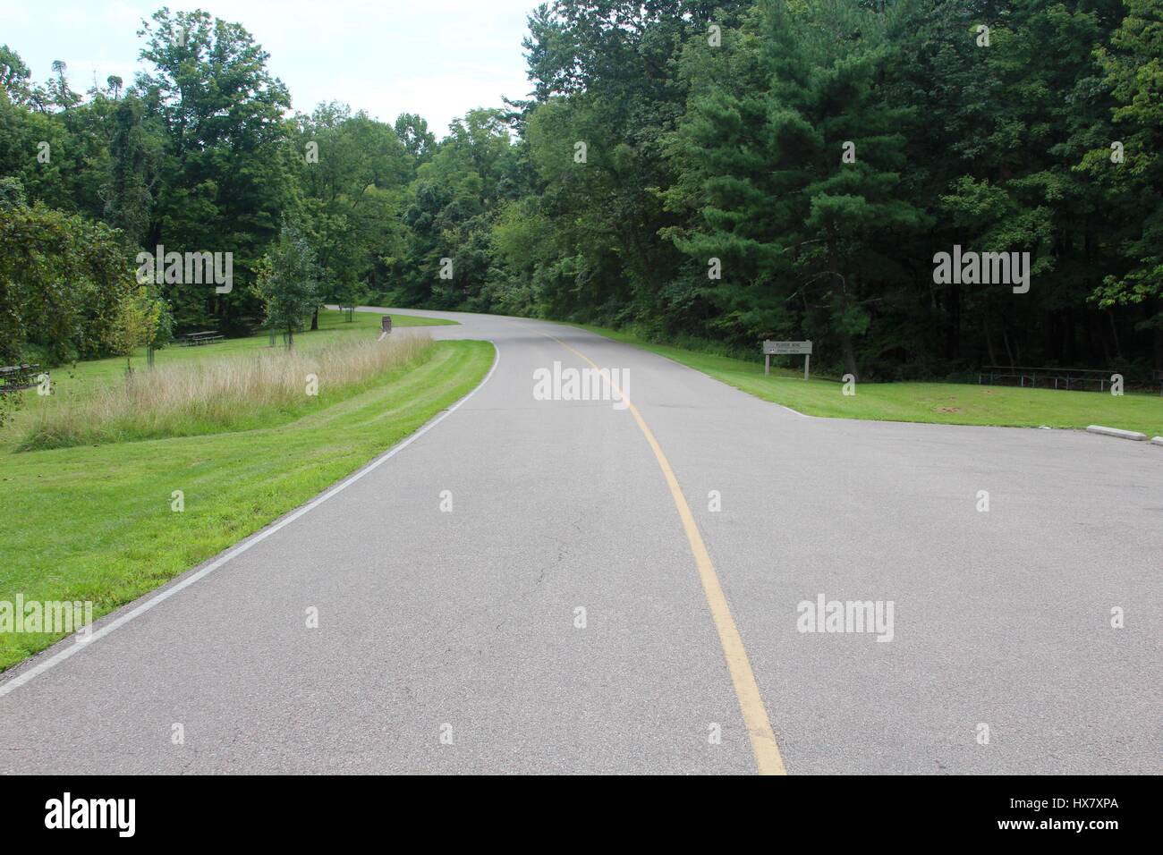 The dirt nature trail in the forest Stock Photo - Alamy