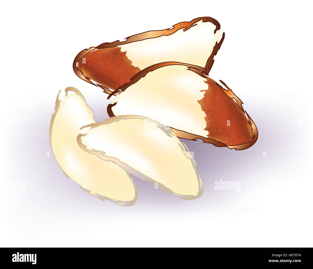Brazil nuts on white background Stock Photo - Alamy