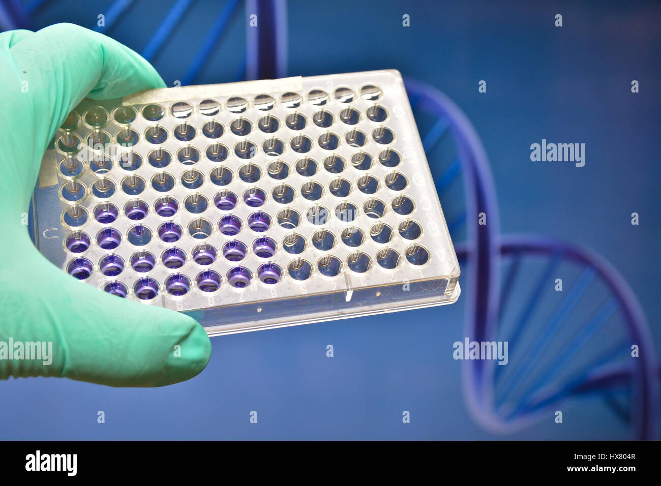 Modern technology in a scientific laboratory. Well plate arm of the ...