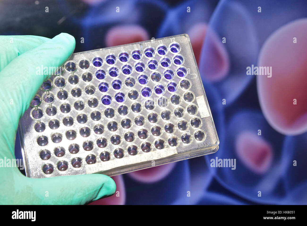 Modern technology in a scientific laboratory. Well plate arm of the ...