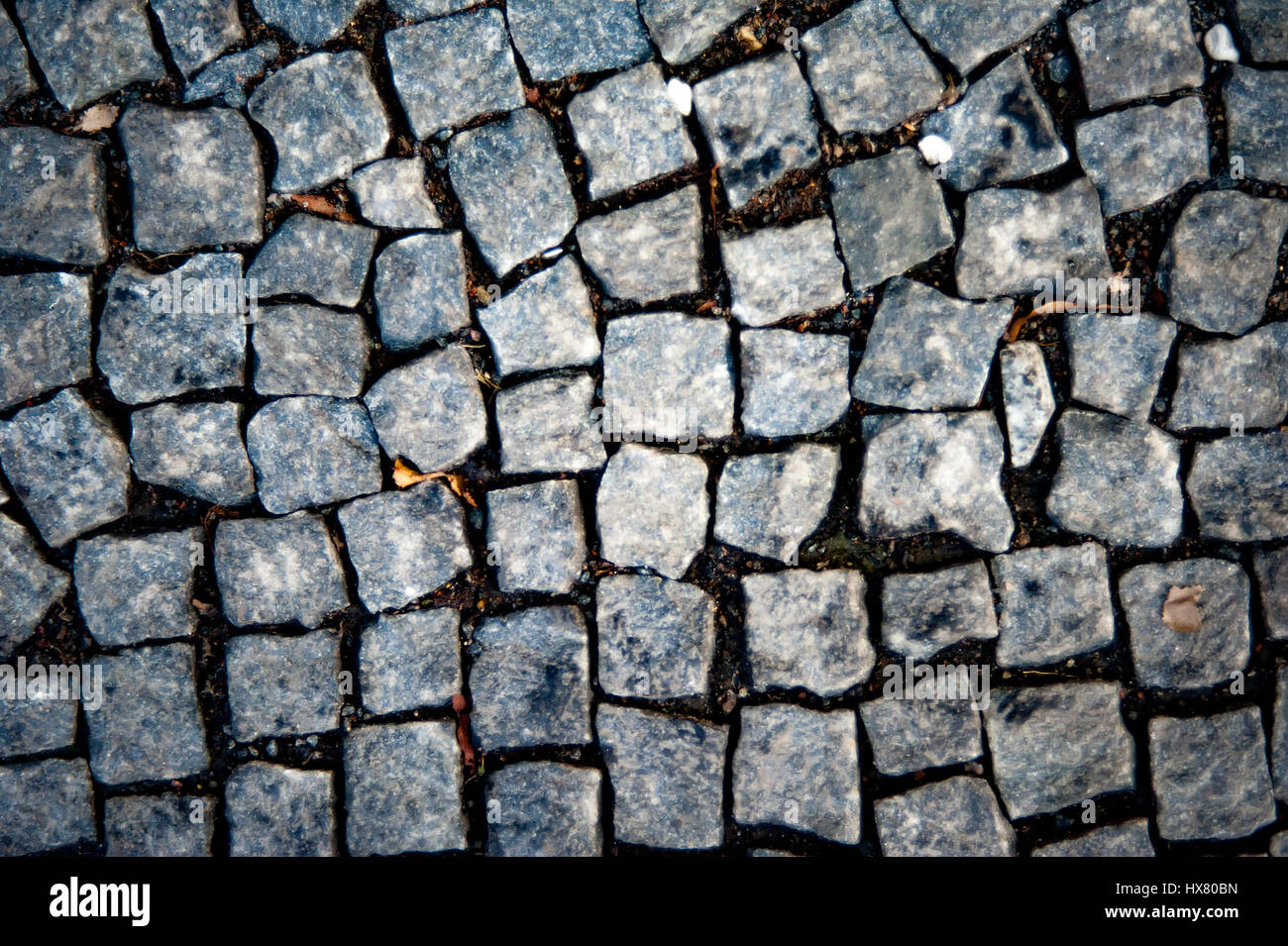 Cobbled pavement pattern made of granite cubes Stock Photo - Alamy