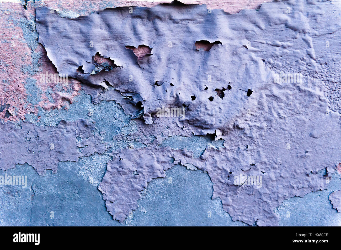 Green wall paint interior hi-res stock photography and images - Alamy