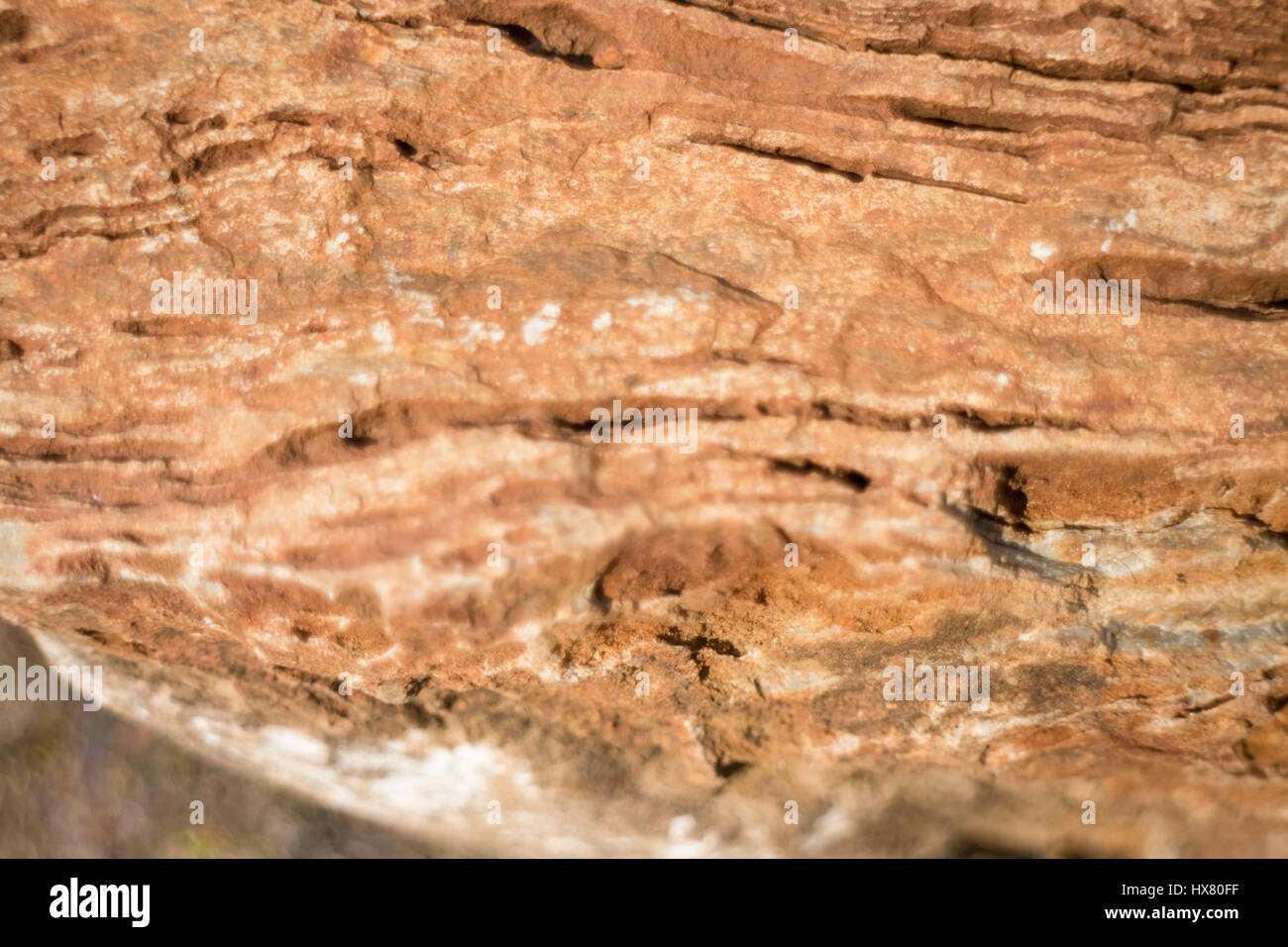 Fault lines hi-res stock photography and images - Alamy