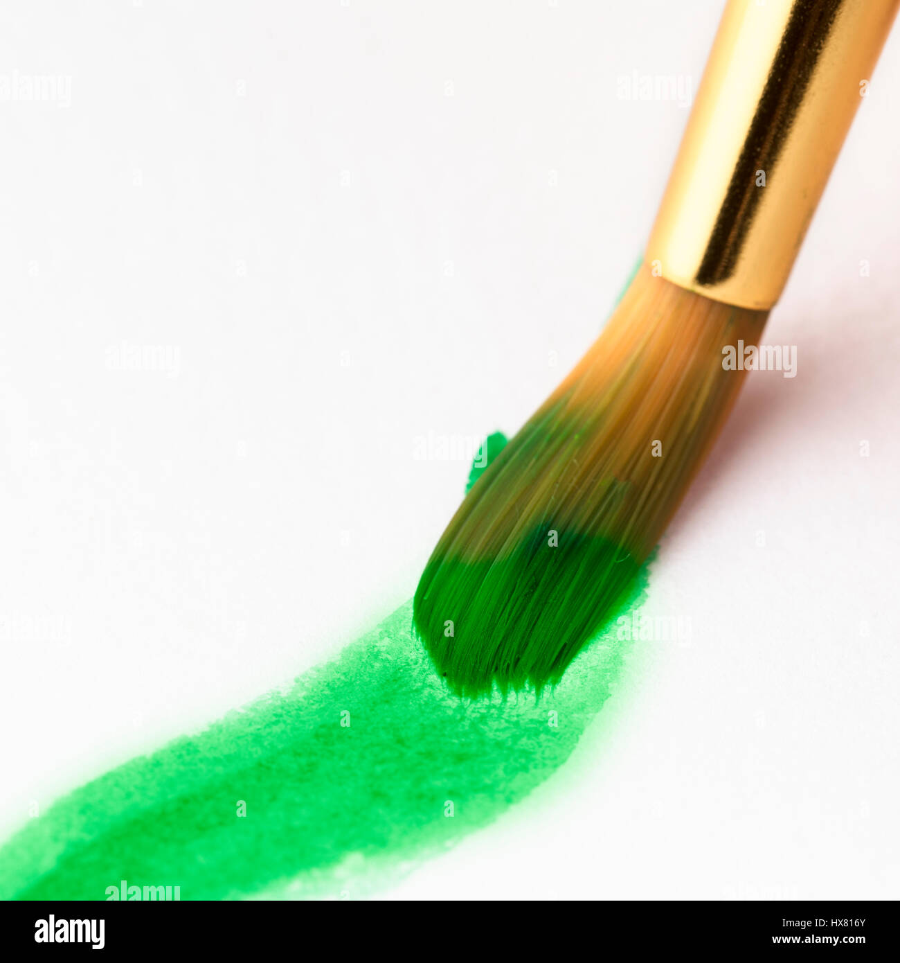 Watercolor paint brush with green paint on paper Stock Photo - Alamy
