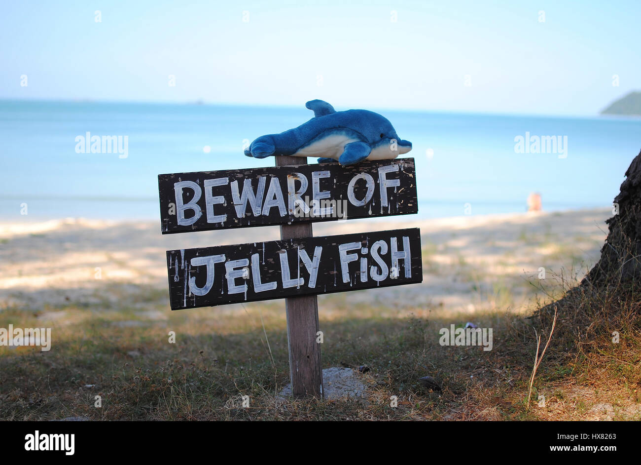 Beware Of Jelly Fish Stock Photo - Alamy