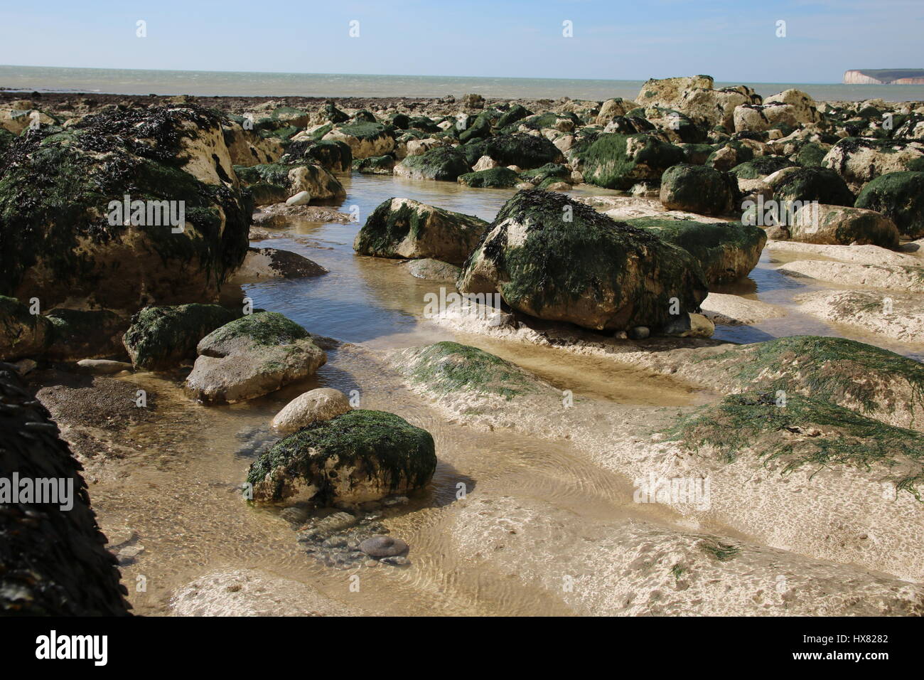 seaweed covered rocks laying on channels carved into chalk by the sea ...