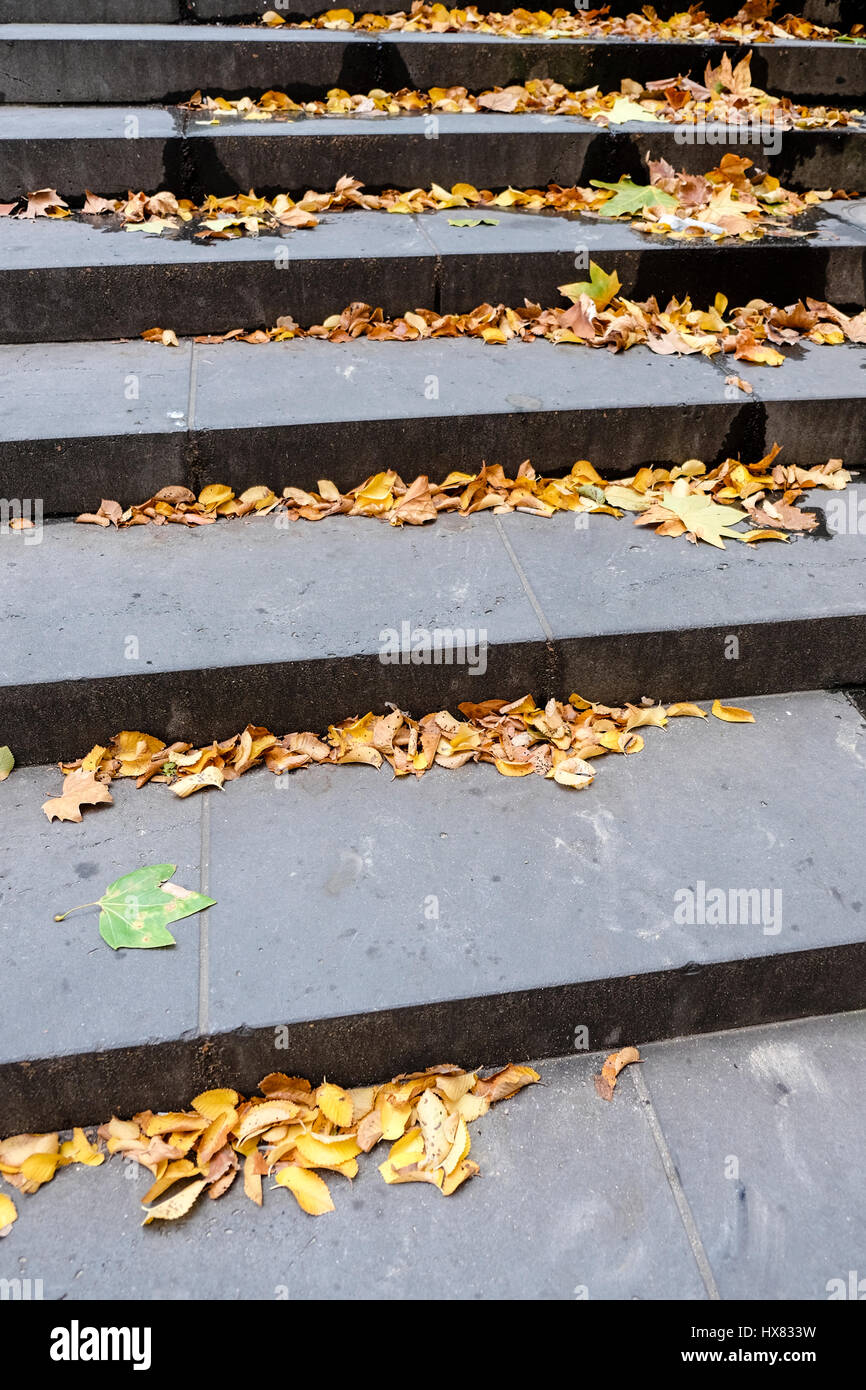 Grid Steps High Resolution Stock Photography and Images - Alamy