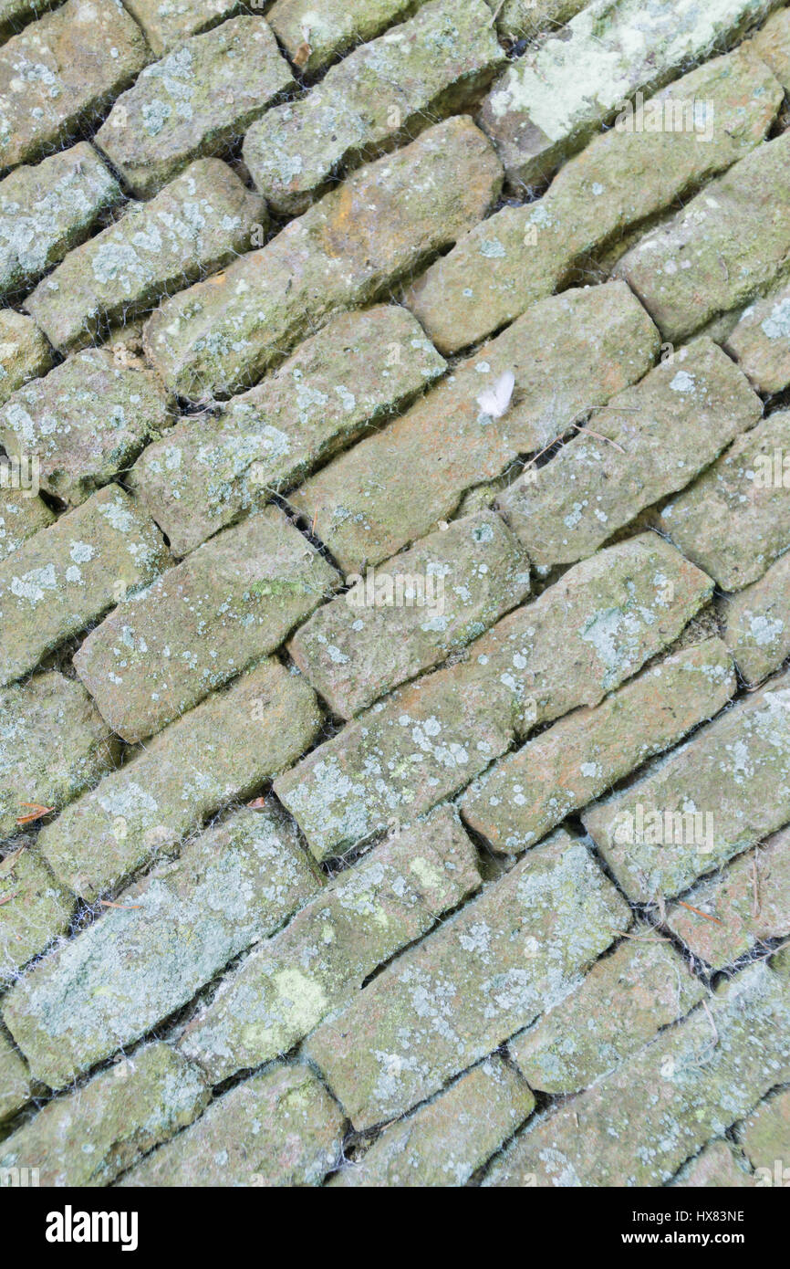brick walls outside in the countryside Stock Photo - Alamy