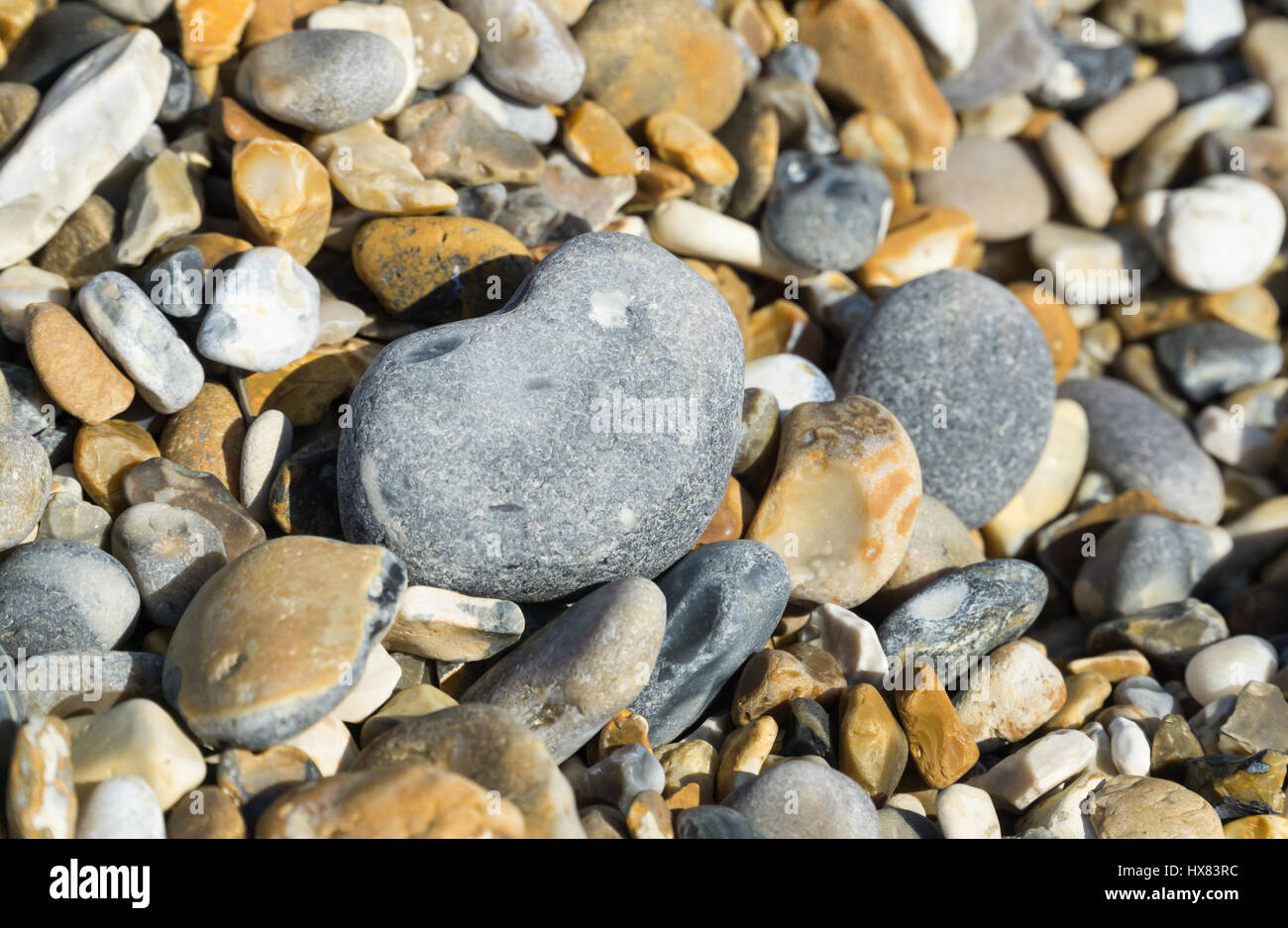 Beech pebbles hi-res stock photography and images - Alamy