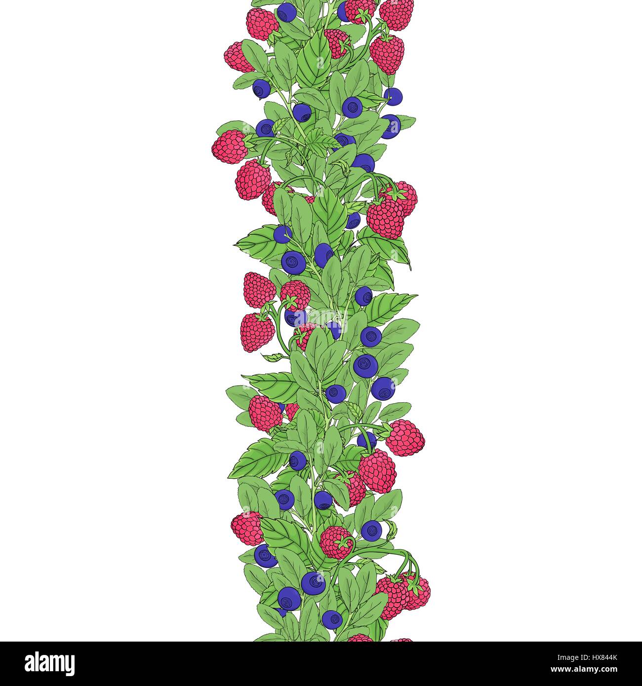Seamless colored border of twigs blueberry and raspberry with berries ...