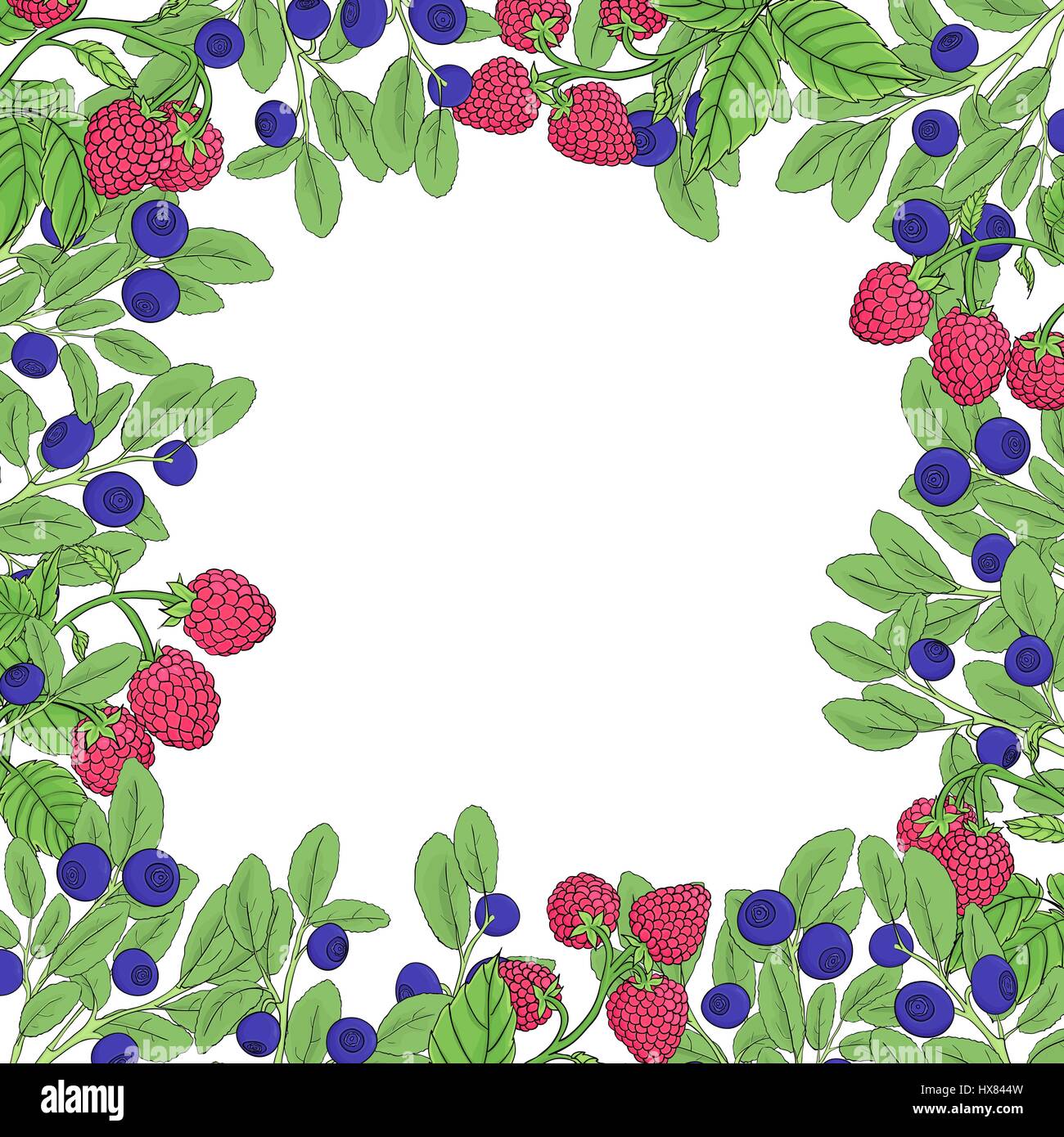 Natural frame of branches of raspberry and blueberry with berries on a ...