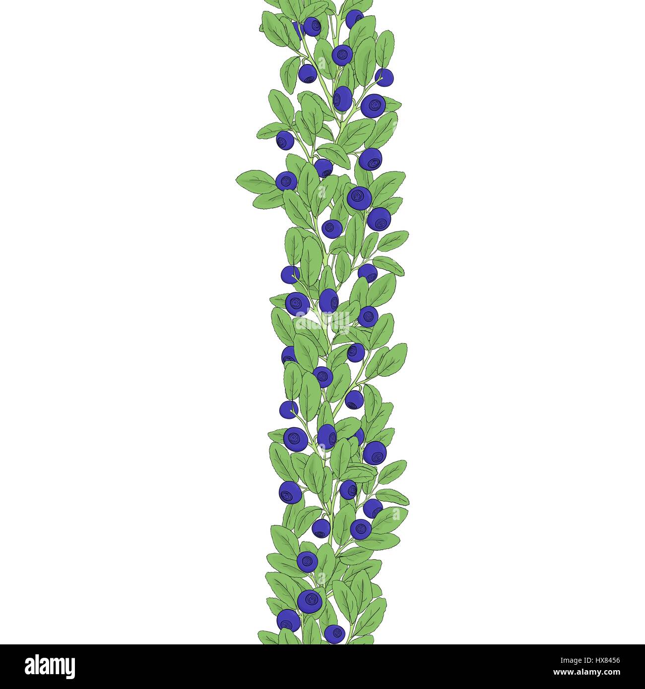 Seamless colored border of twigs of blueberry with berries and leaves ...