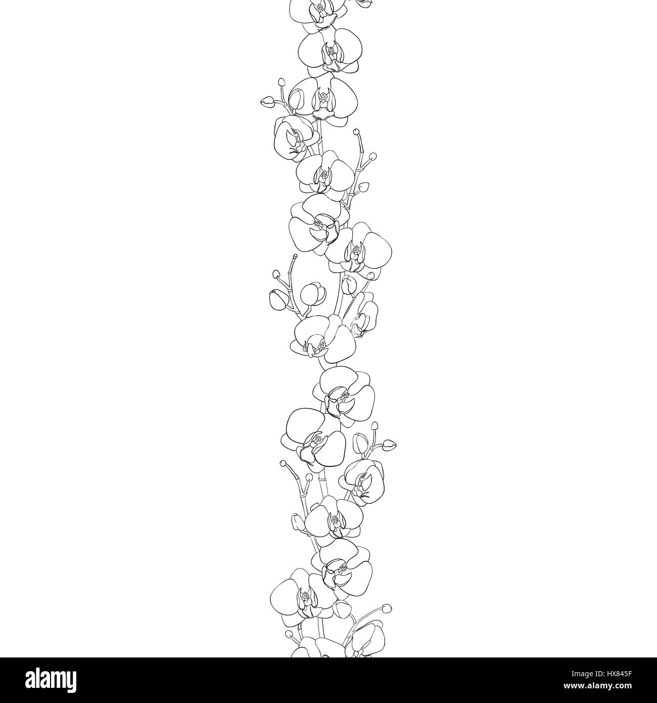 Orchids border Black and White Stock Photos & Images - Alamy