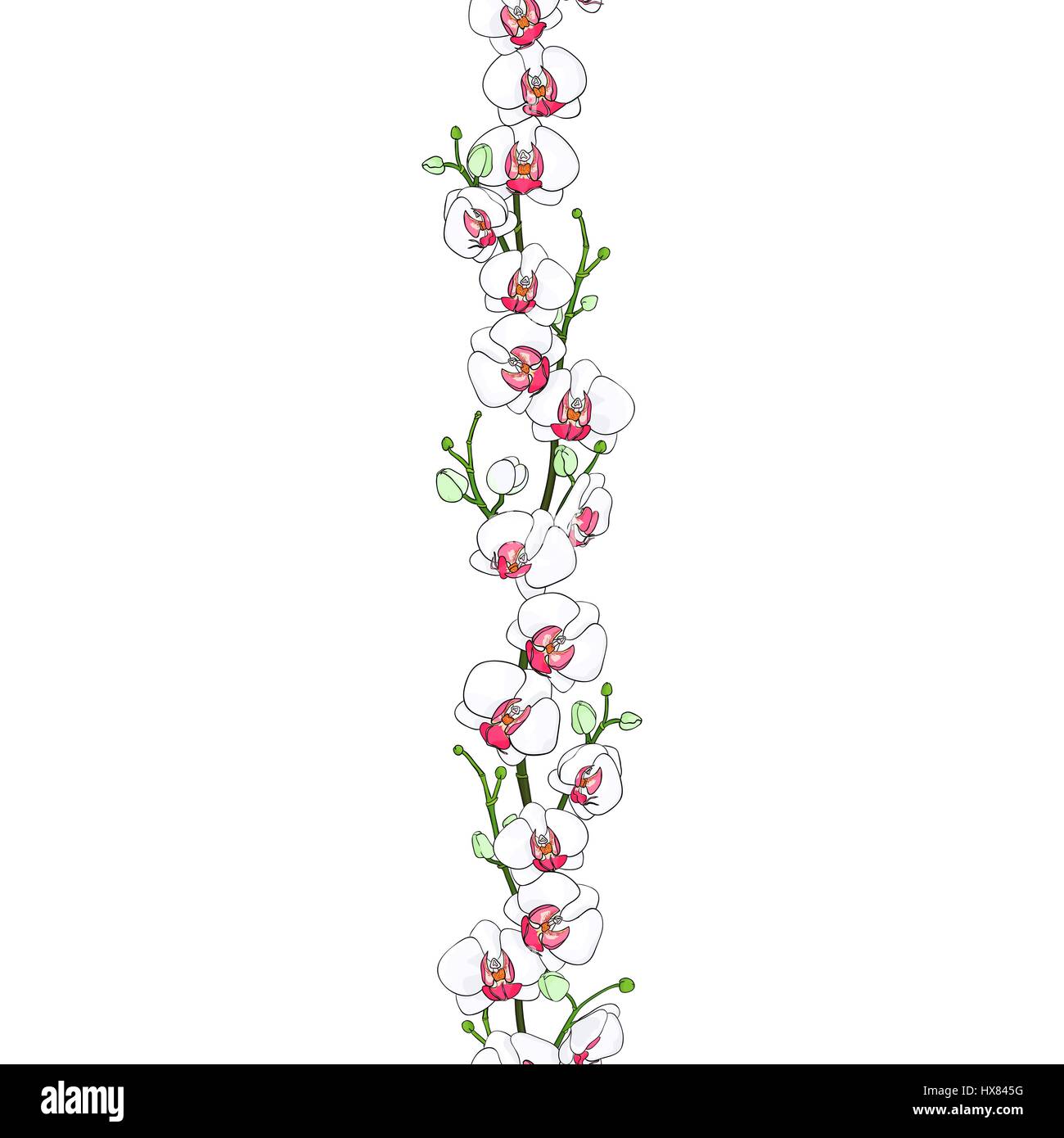 Seamless natural border of the branches of blooming white orchids with ...